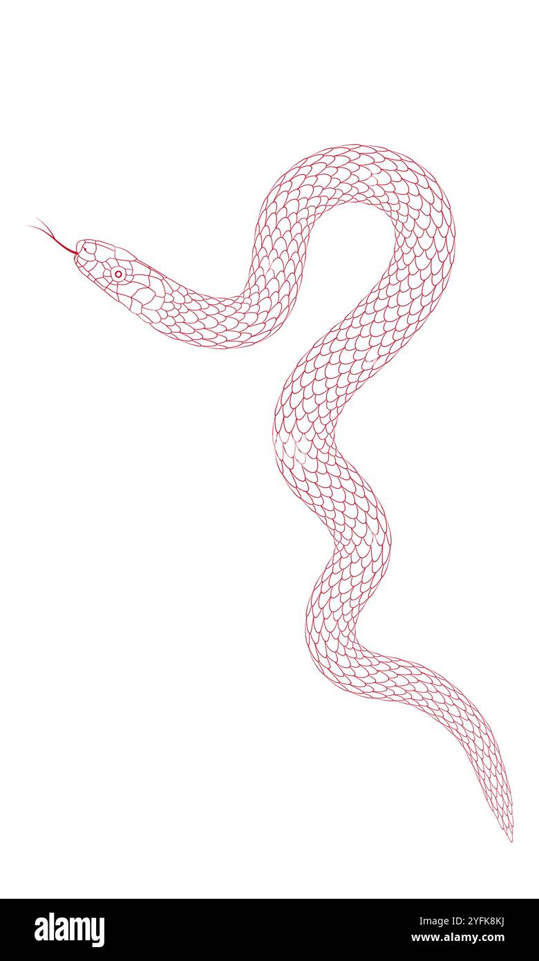 cartoon snake pattern with red line stroke Stock Vector Image & Art - Alamy