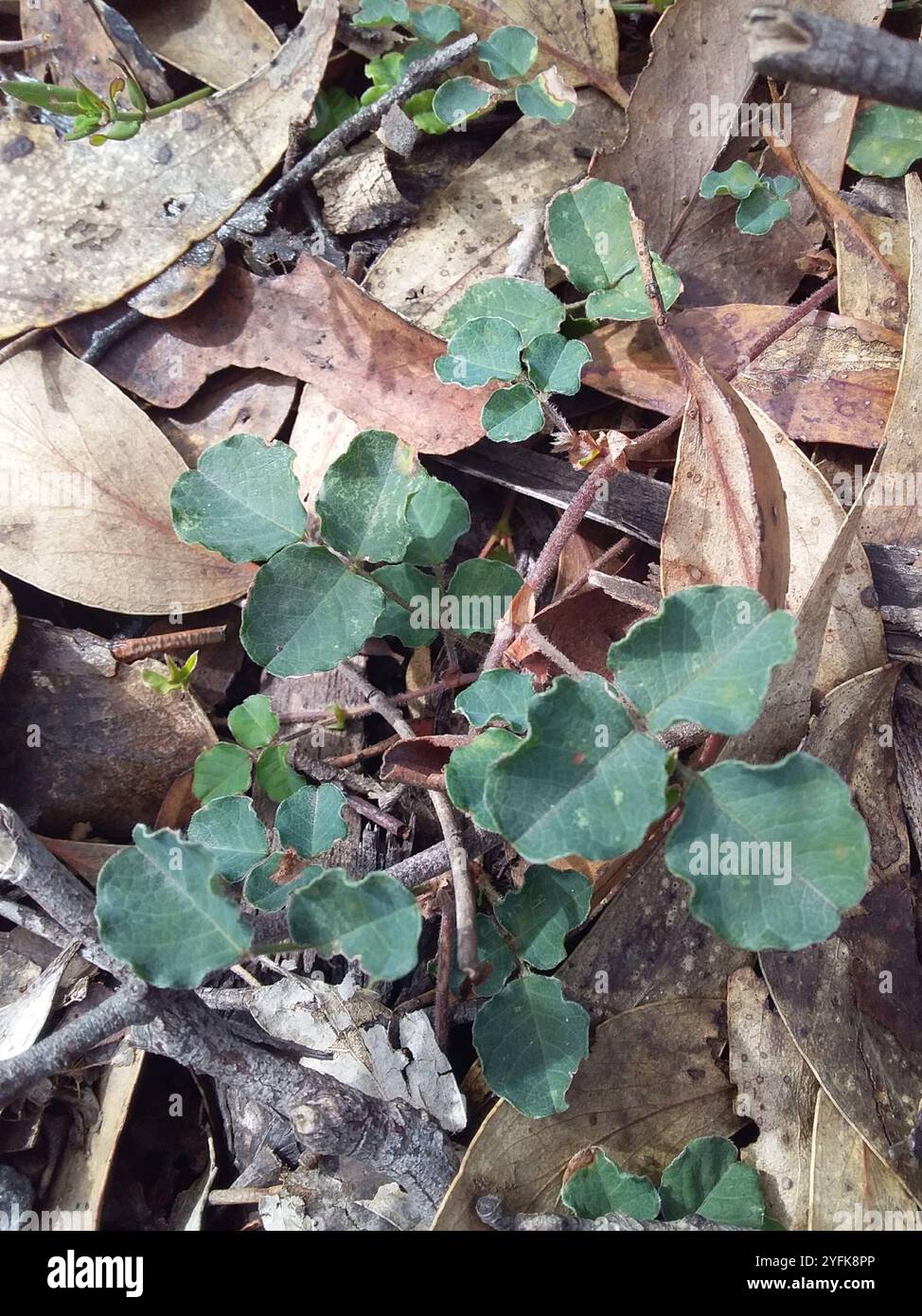 Running postman kennedia hi-res stock photography and images - Alamy