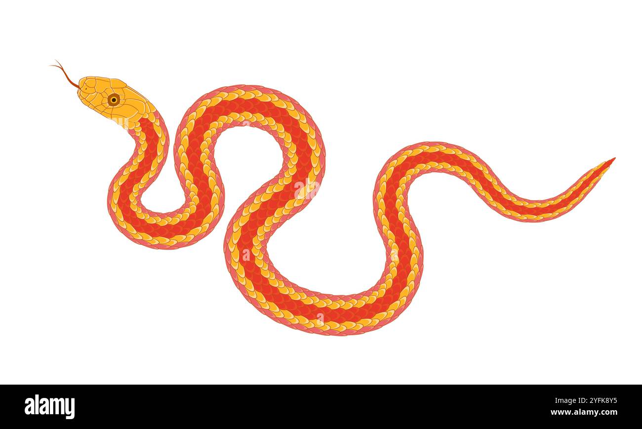 A simple cartoon snake pattern Stock Vector Image & Art - Alamy