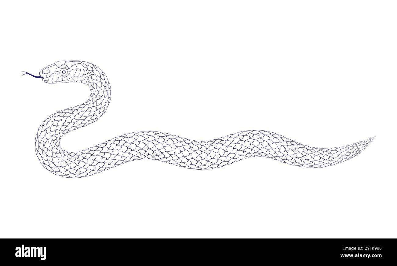 cartoon snake pattern with blue lines Stock Vector Image & Art - Alamy