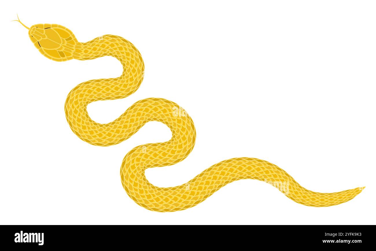 Vector cartoon illustration python Stock Vector Images - Alamy