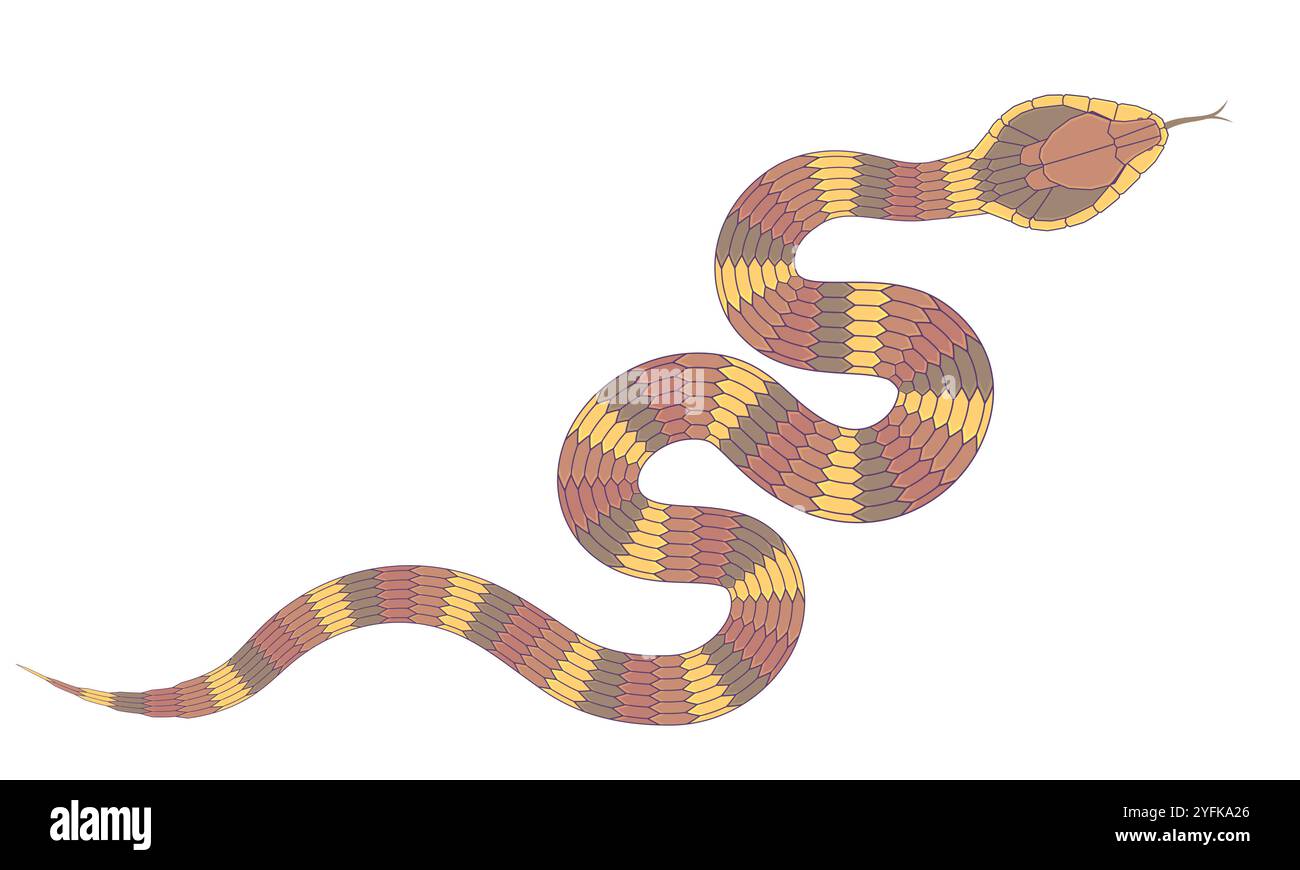 abstract orange cartoon snake pattern Stock Vector Image & Art - Alamy