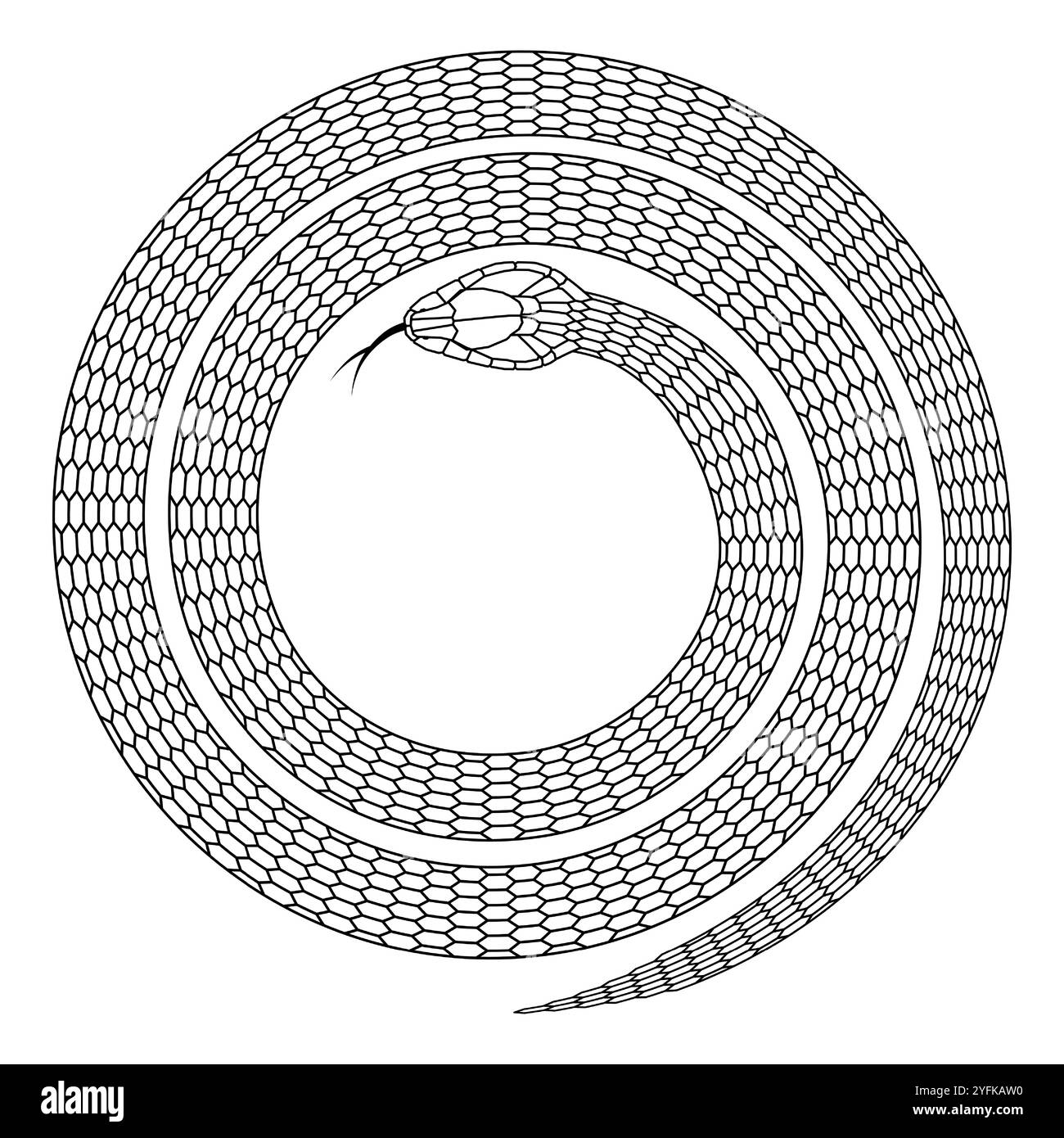 A simple cartoon snake pattern Stock Vector Image & Art - Alamy A simple cartoon snake pattern Stock Vector Image & Art - Alamy