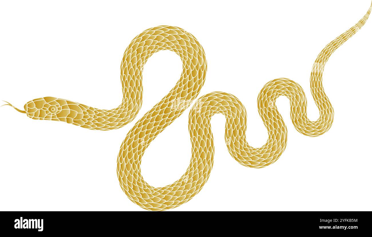 Illustration of a golden snake Stock Vector Image & Art - Alamy
