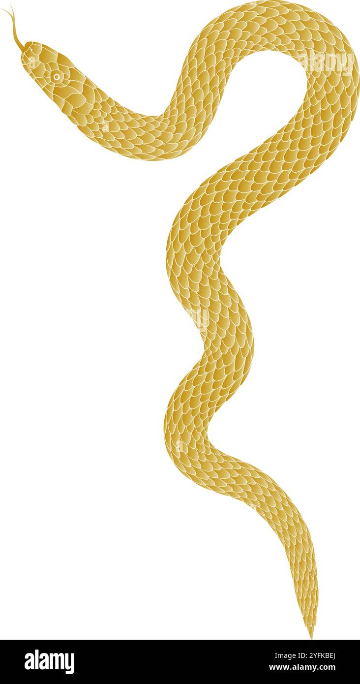 Illustration of a golden snake Stock Vector Image & Art - Alamy