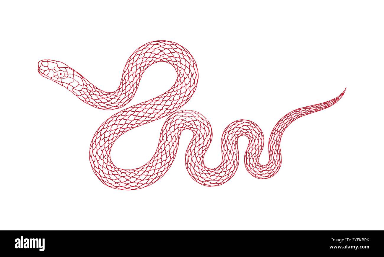 Snake hollow Stock Vector Images - Alamy