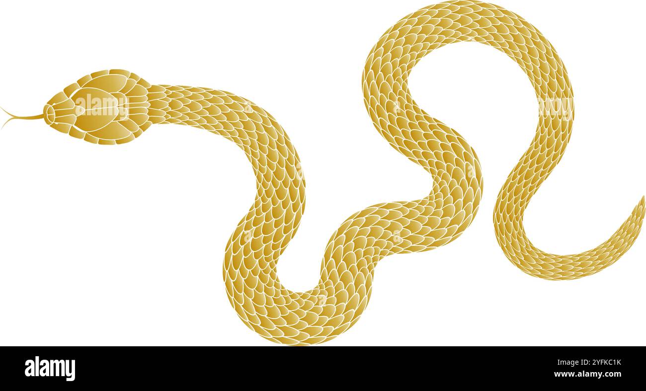 Illustration of a golden snake Stock Vector Image & Art - Alamy