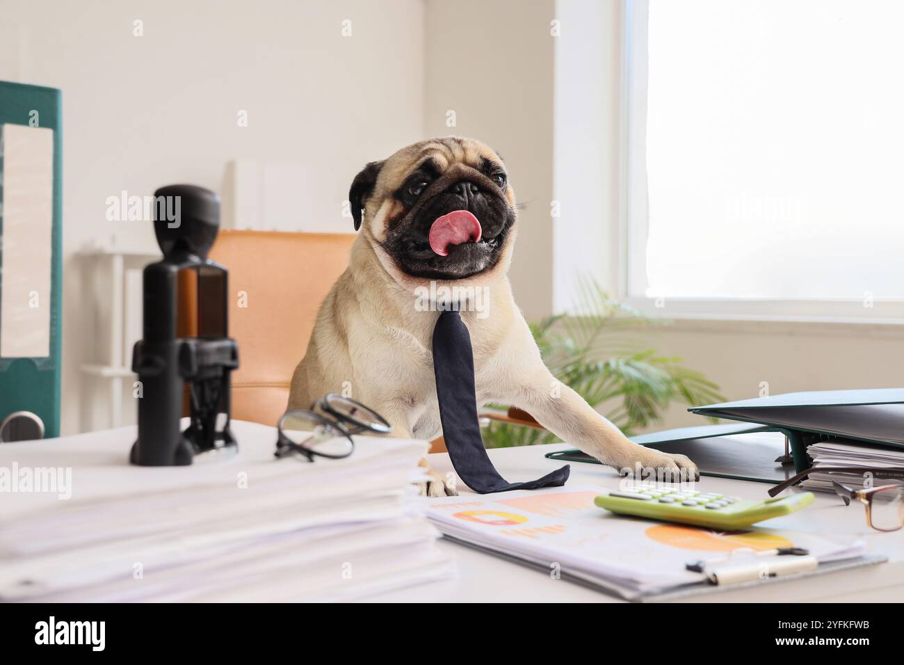 Office paperwork funny hi-res stock photography and images - Alamy