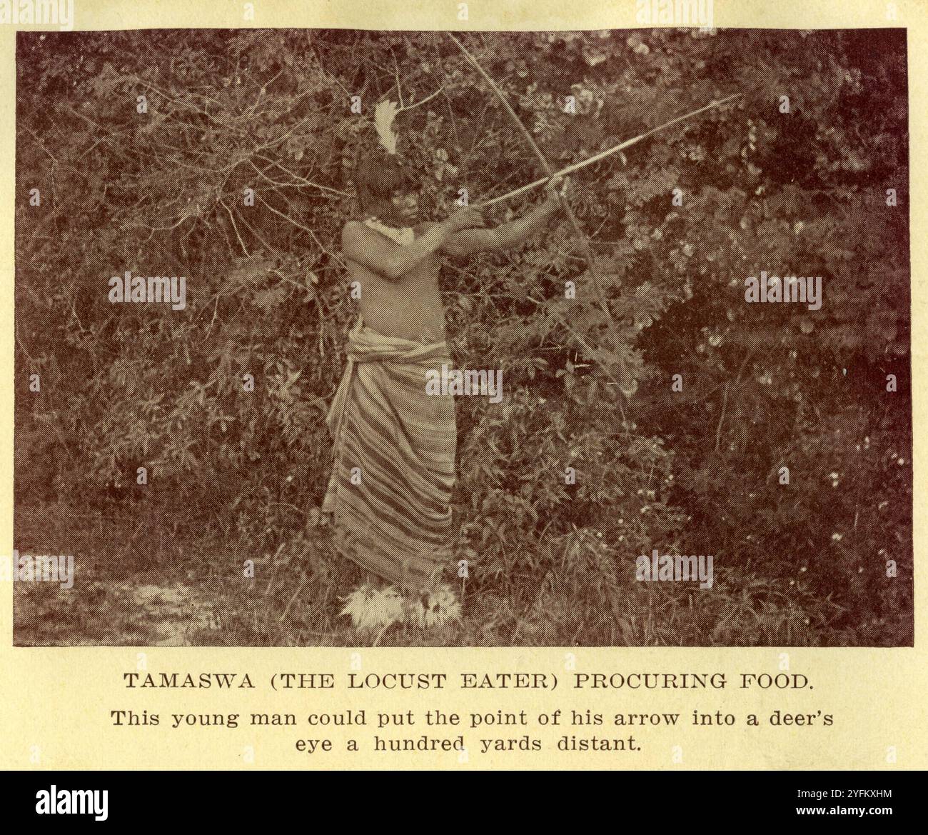 A young South American indiean on the hunting trail in 1911 Stock Photo ...