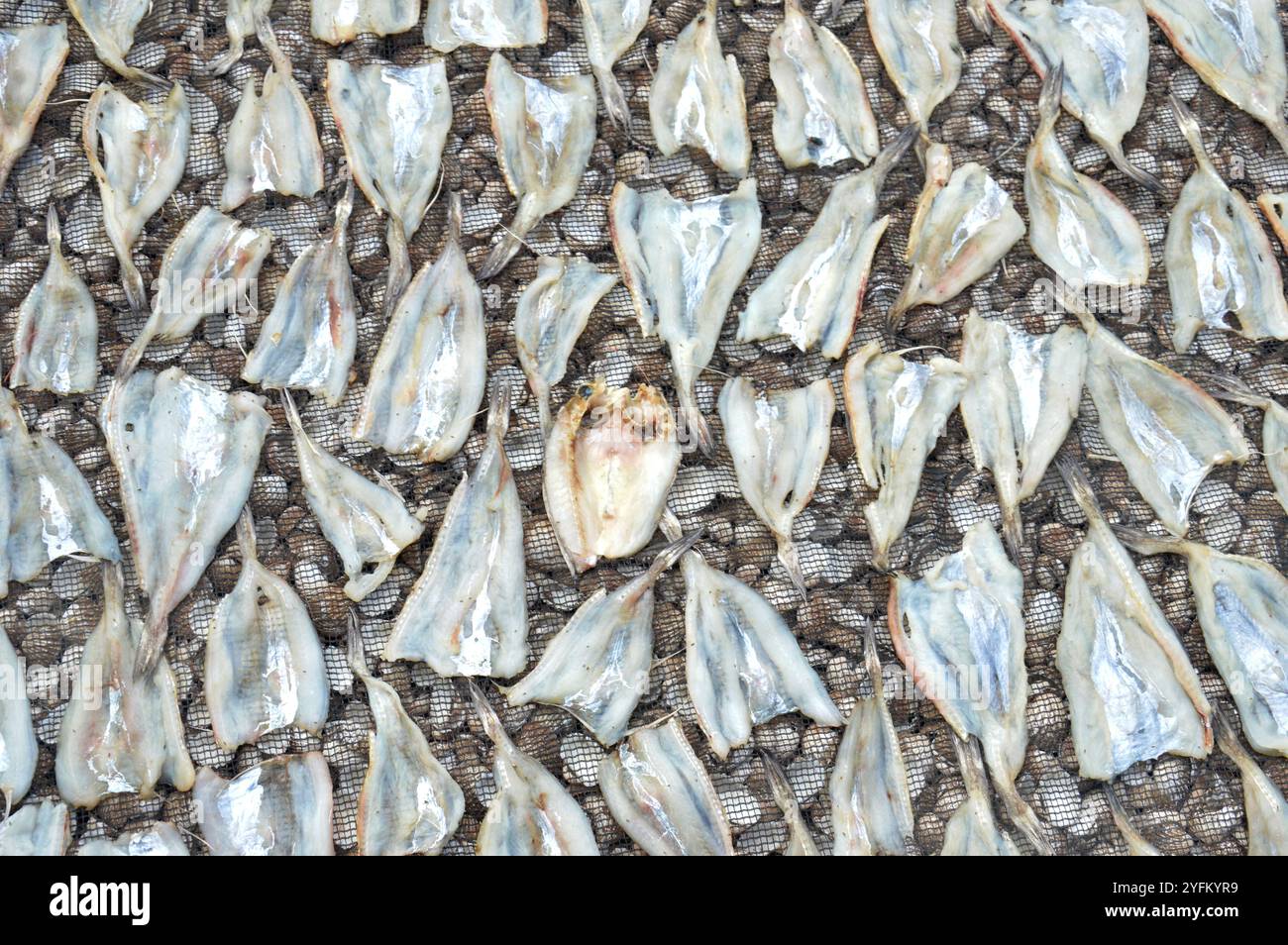 patterns of thin dried fish background Stock Photo - Alamy