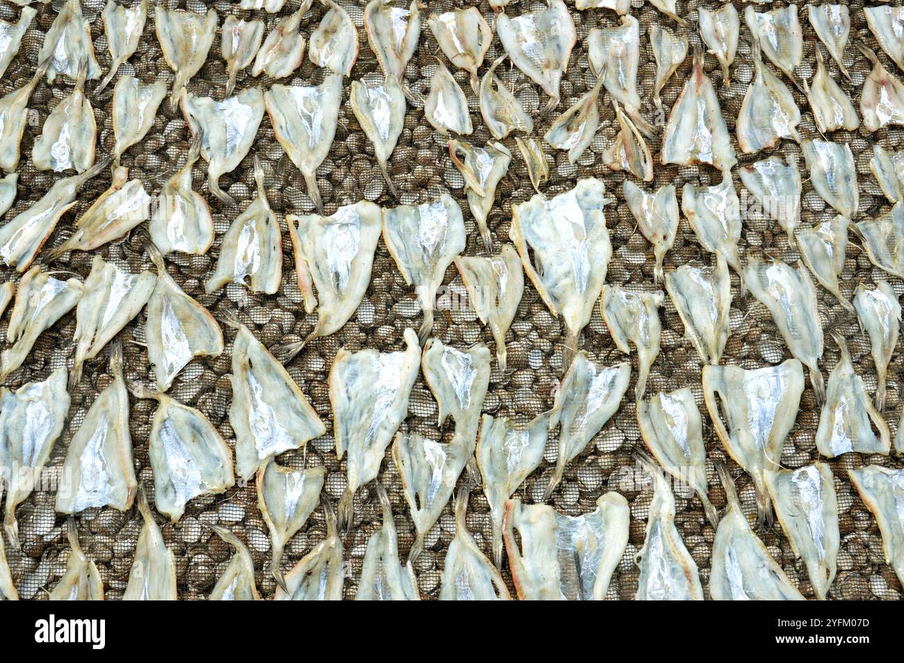 patterns of thin dried fish background Stock Photo - Alamy