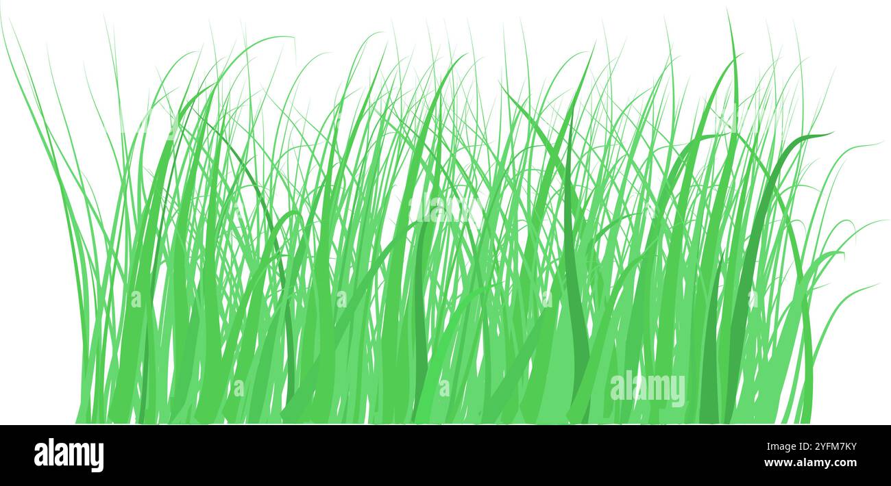 Front close up view on Stock Vector Images - Alamy