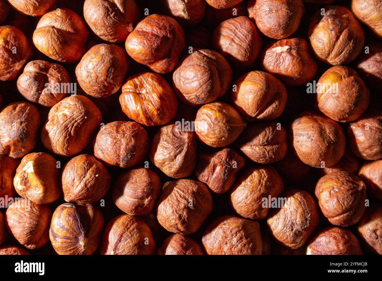 Scattered Peeled Hazelnut - Top View. Background from Hazelnuts ...