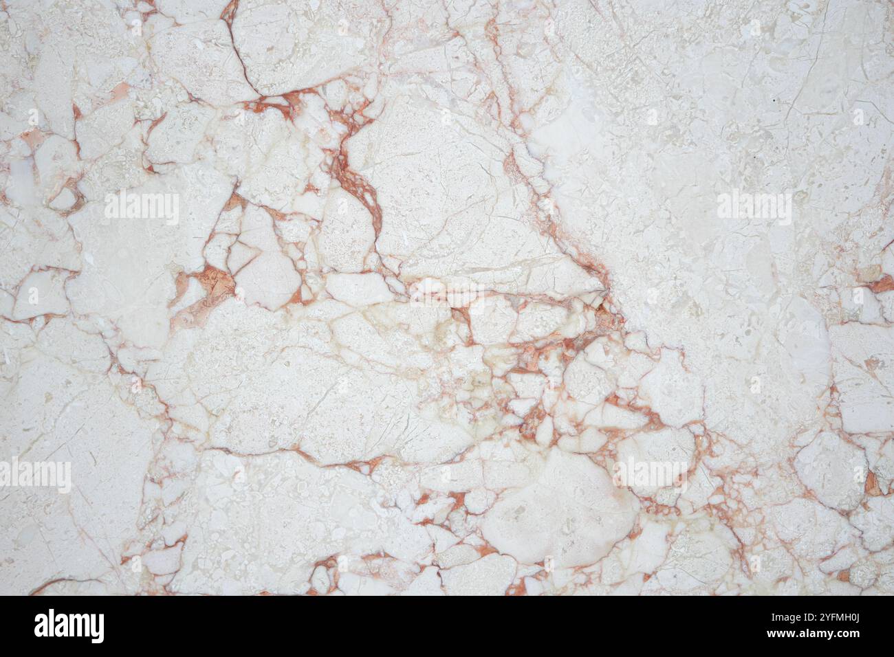 Delicate veining patterns hi-res stock photography and images - Alamy