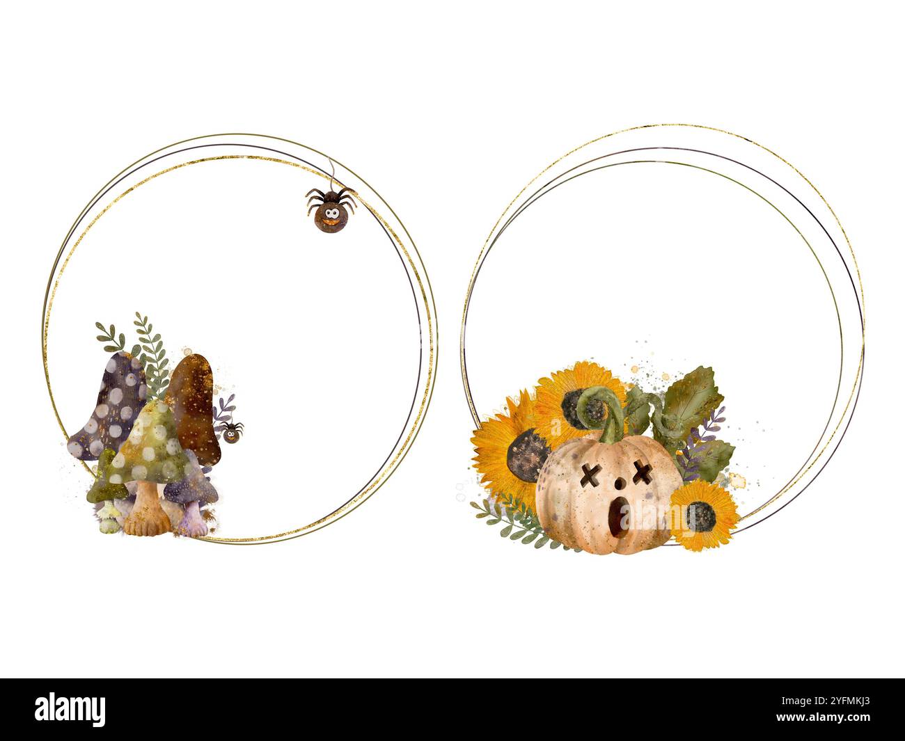 Showcasing round blooms hi-res stock photography and images - Alamy