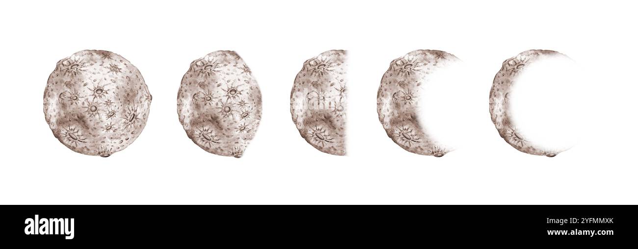 Moon phases in brown and beige tones set watercolor illustration ...