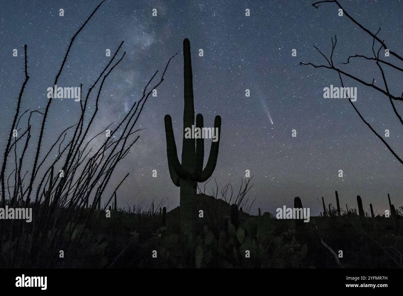 Comet C/2023 A3 (Tsuchinshan–ATLAS Stock Photo - Alamy