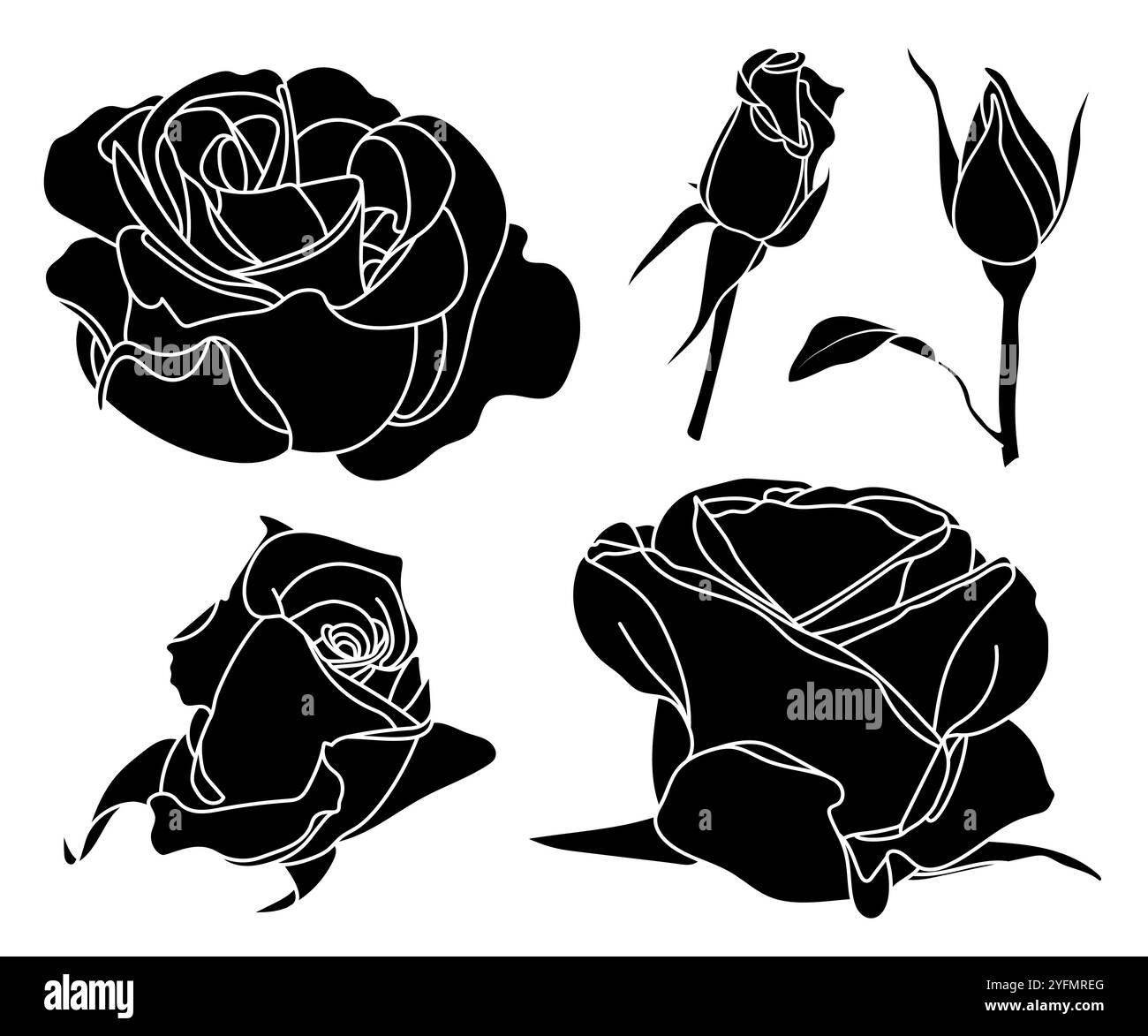 Simple rose Black and White Stock Photos & Images - Alamy