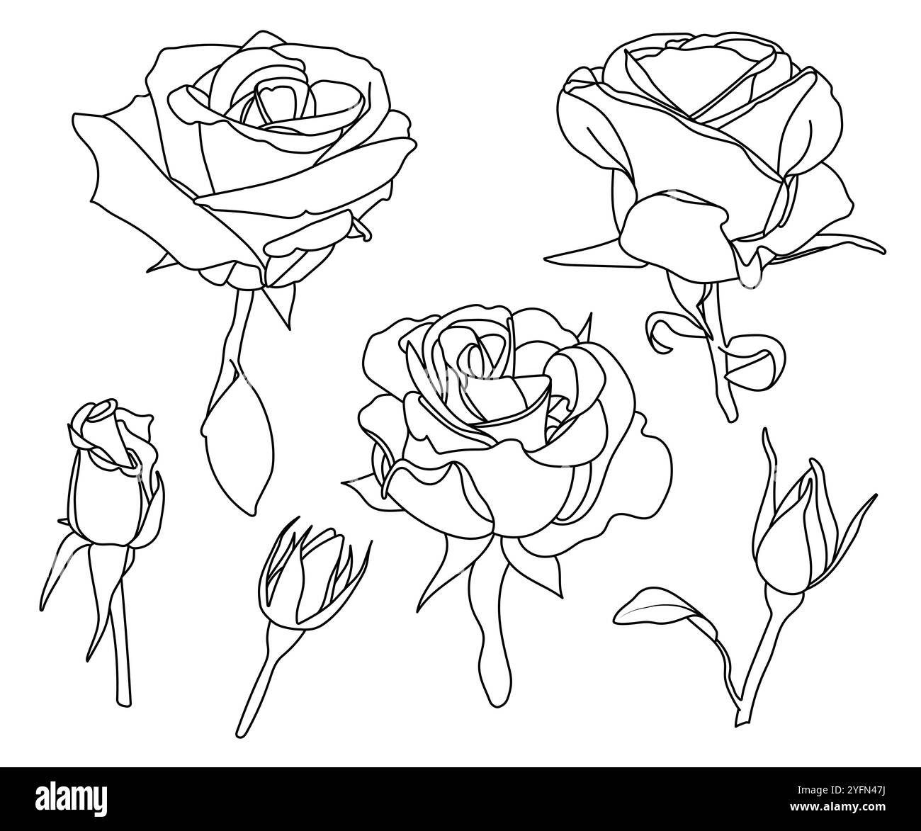 Rose design Black and White Stock Photos & Images - Alamy