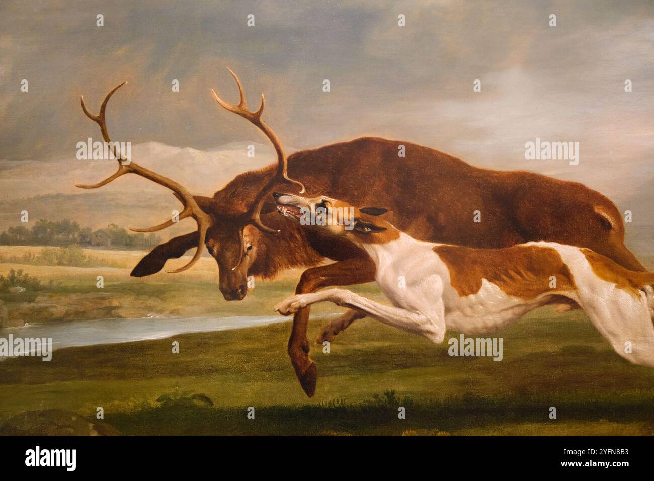 Hound Coursing A Stag painting by George Stubbs. A dog is hunting a ...