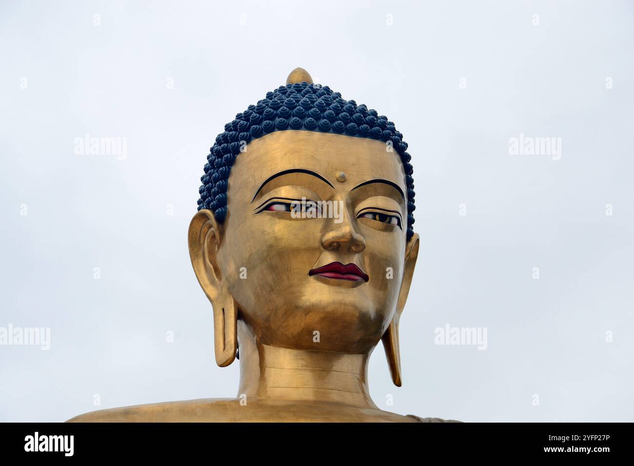 Great Buddha Dordenma, a gigantic Shakyamuni Buddha statue, celebrating ...
