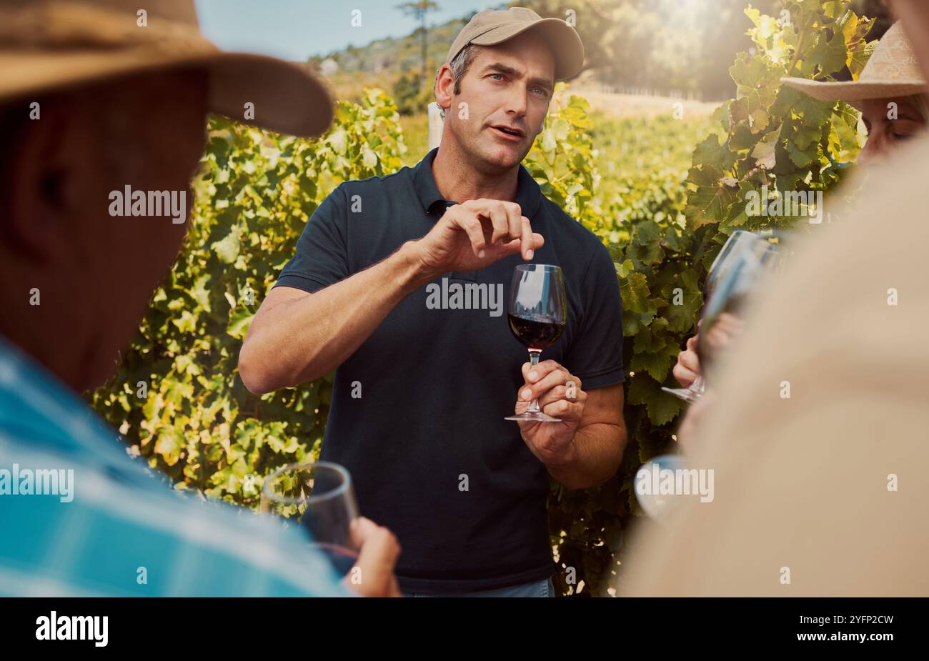 Explain, farm and wine tasting with sommelier talking to customer ...