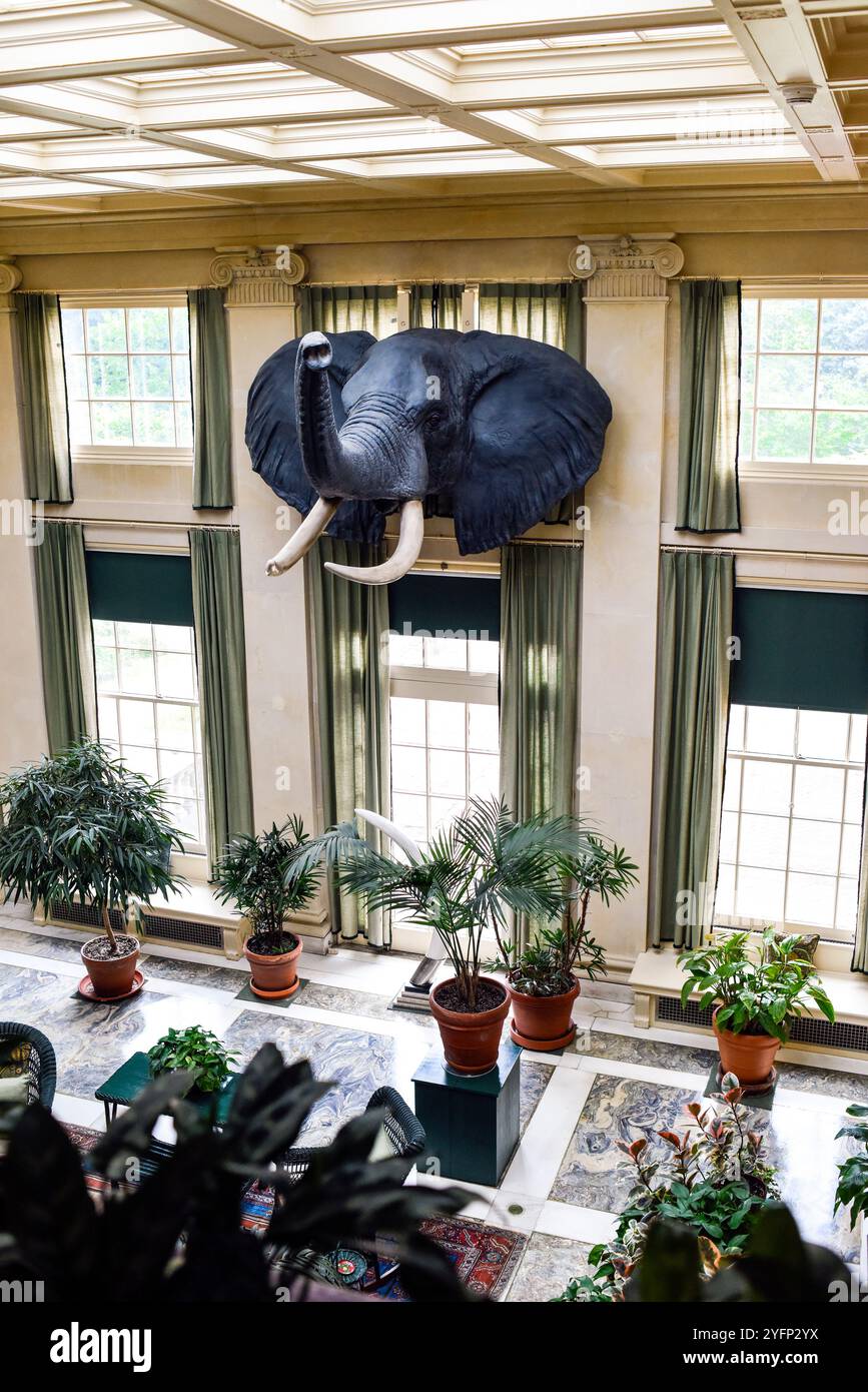 The George Eastman Museum, known as the Eastman House, Eastman Mansion ...