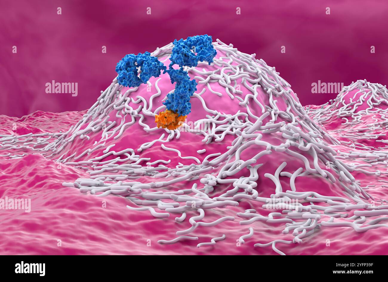 Monoclonal antibody therapy in Ependymoma - closeup view 3d ...