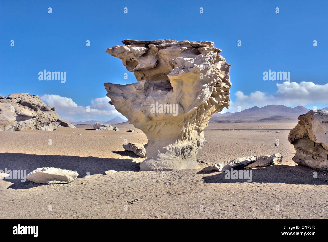 Árbol de Piedra ("stone tree") an rock formation in Bolivian Altiplano ...