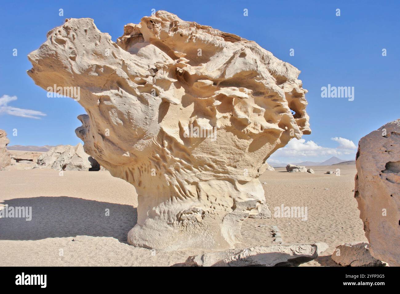 Strange tree formation hi-res stock photography and images - Alamy