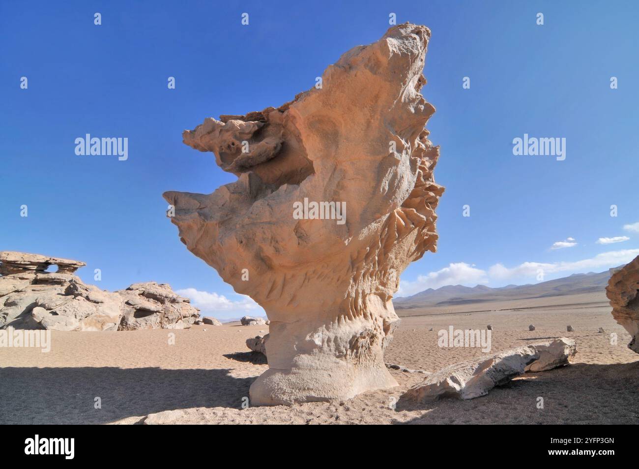Árbol de Piedra ("stone tree") an rock formation in Bolivian Altiplano ...