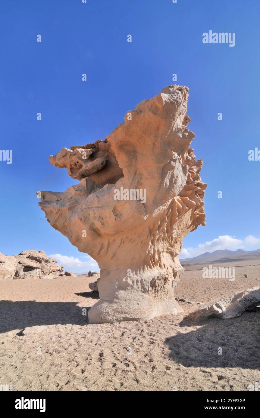 Árbol de Piedra ("stone tree") an rock formation in Bolivian Altiplano ...
