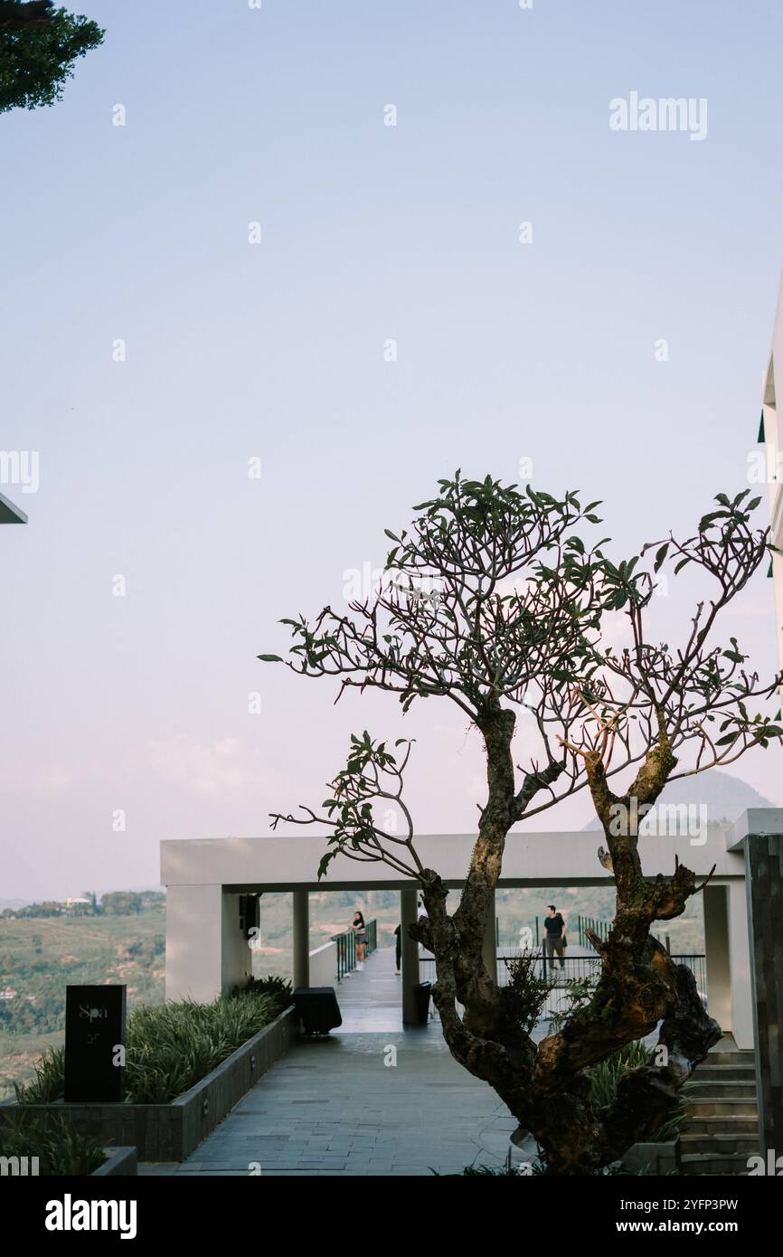 Rooftop pathway hi-res stock photography and images - Alamy