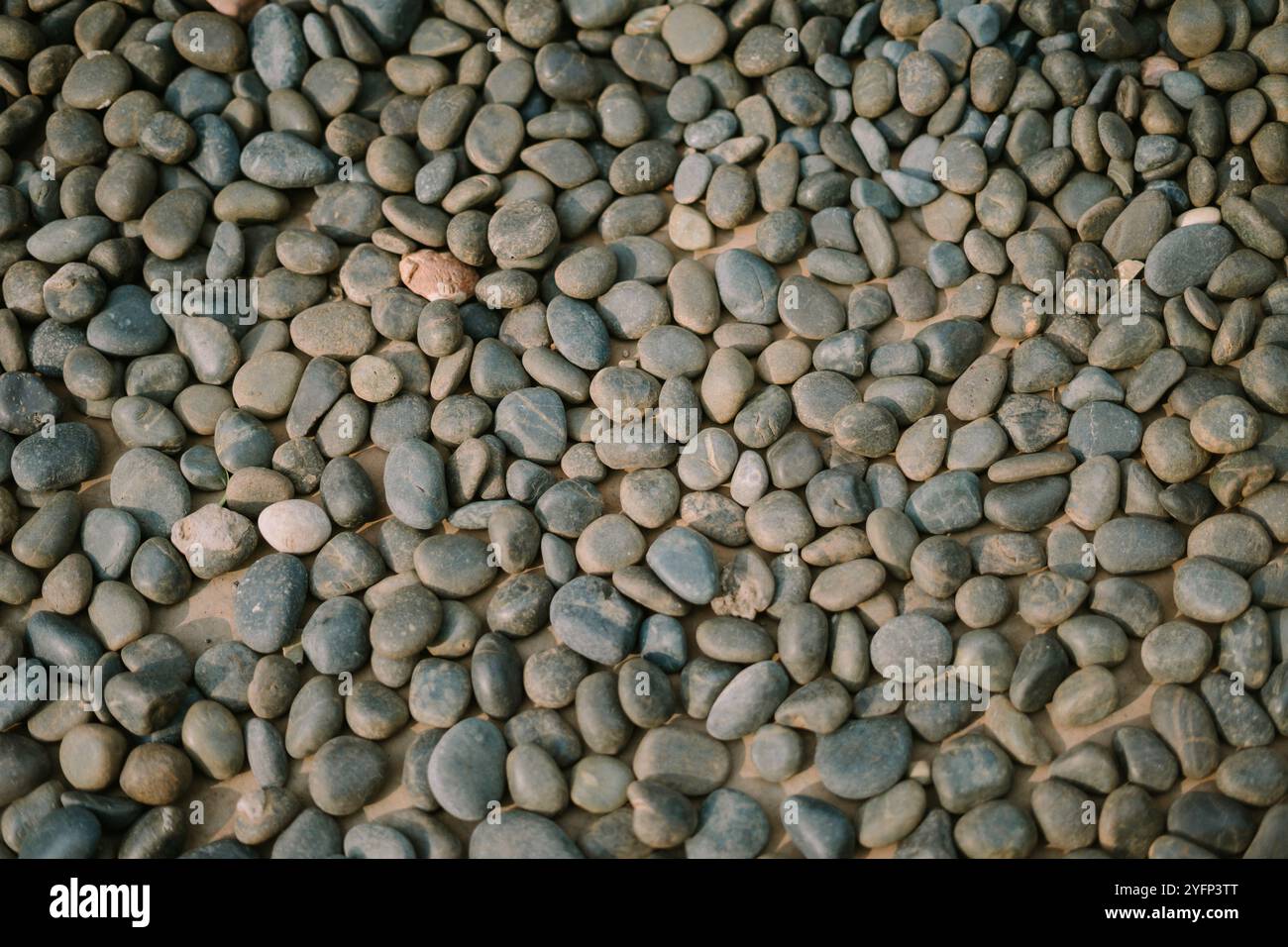 Natural river stones with smooth textures and varied shapes, perfect ...