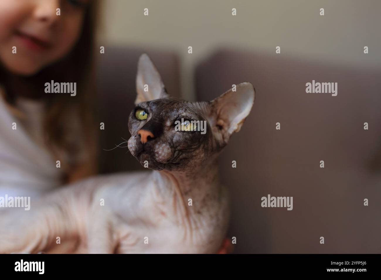 Marvel unique hi-res stock photography and images - Alamy