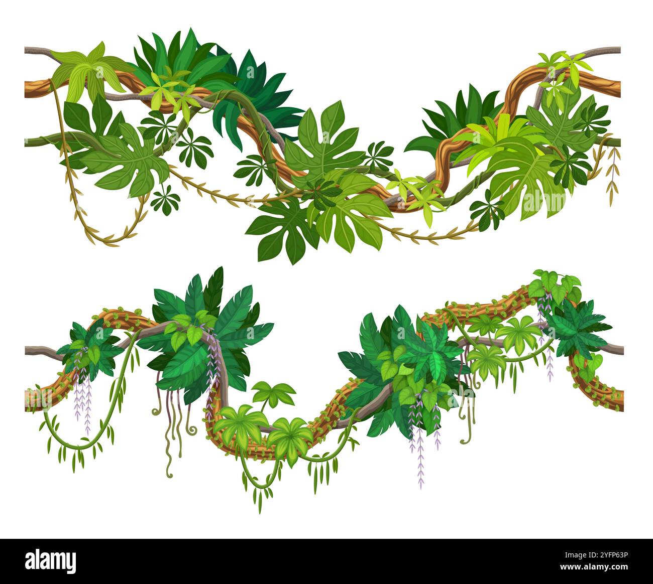 Jungle landscape dense thickets Stock Vector Images - Alamy