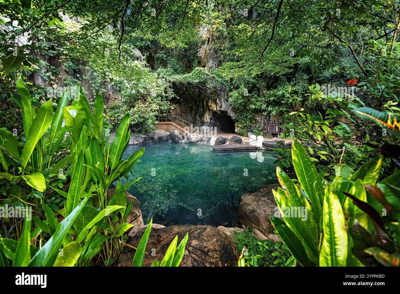Natural Hot Springs pool in the jungle Perak province Malaysia Stock ...