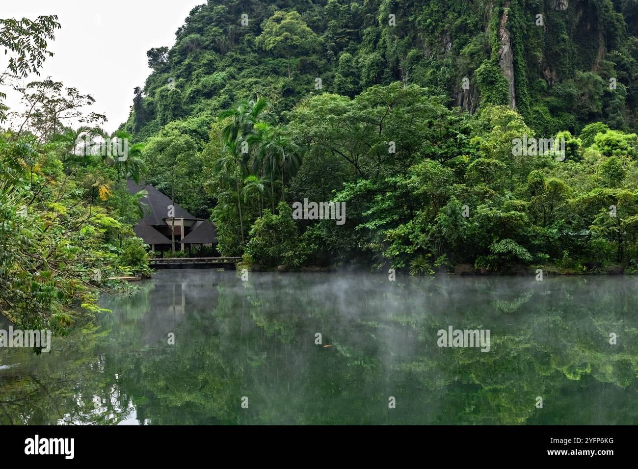Natural Hot Springs pool in the jungle Perak province Malaysia Stock ...