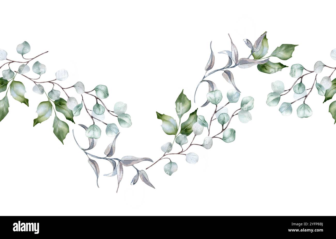 Wavy greenery seamless border in sage green colors watercolor isolated. Soft green leaves holly ...