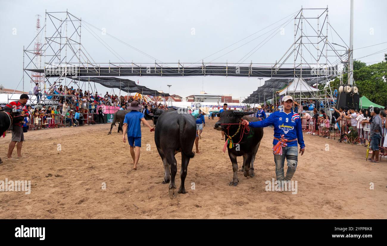 Men walk buffaloes on a dirt track during the 153rd Annual Chonburi ...