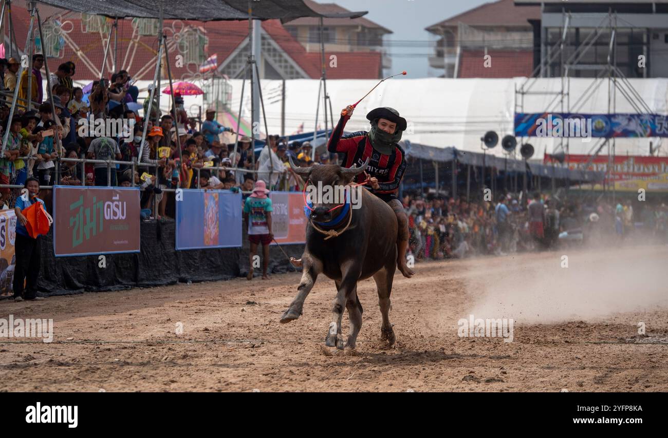 A jockey rides a buffalo on a dirt track during the 153rd Annual ...