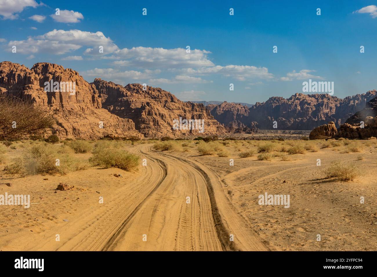 Sandy track through Wadi Disah, Saudi Arabia Stock Photo - Alamy