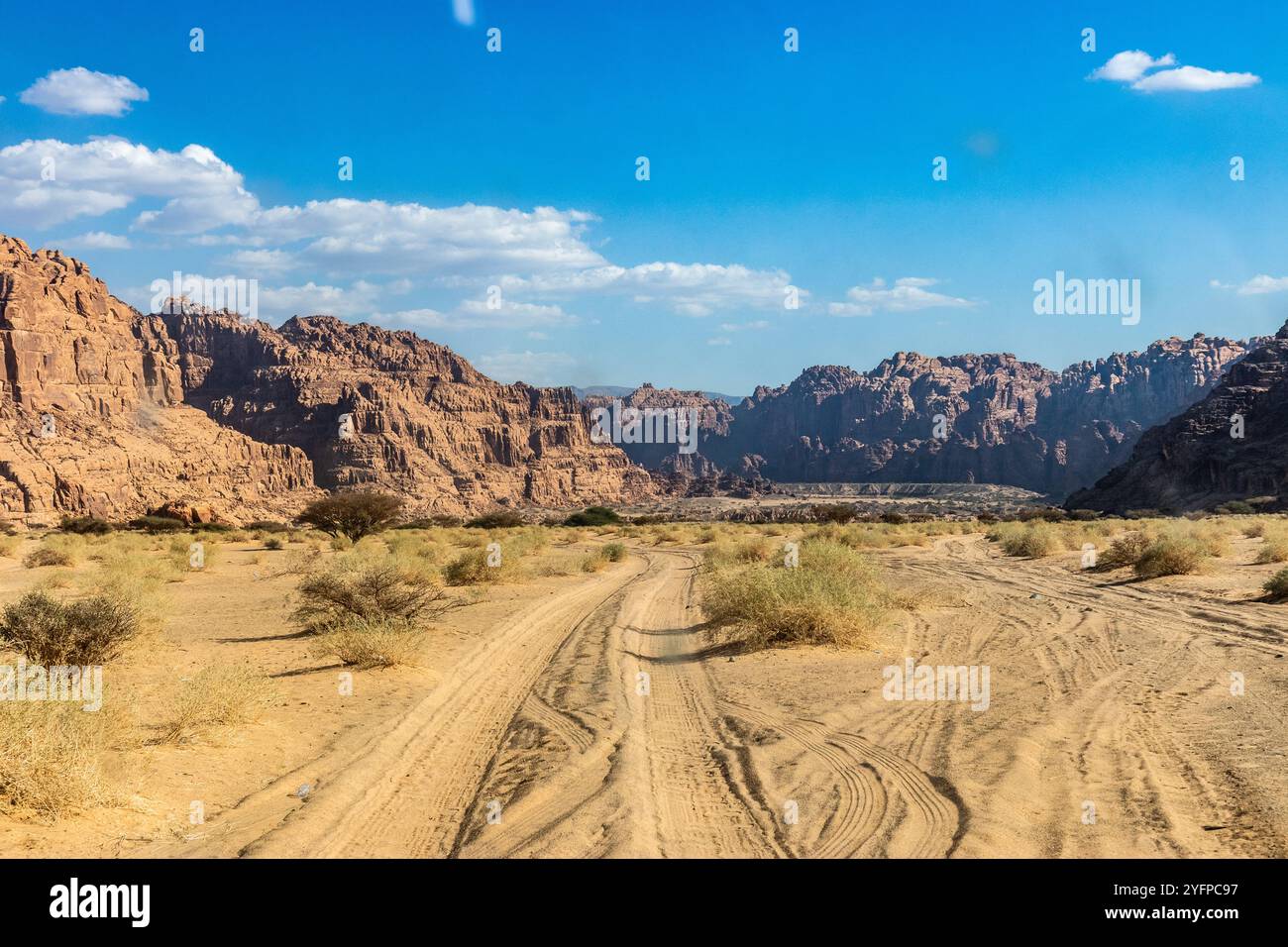 Sandy tracks through Wadi Disah, Saudi Arabia Stock Photo - Alamy