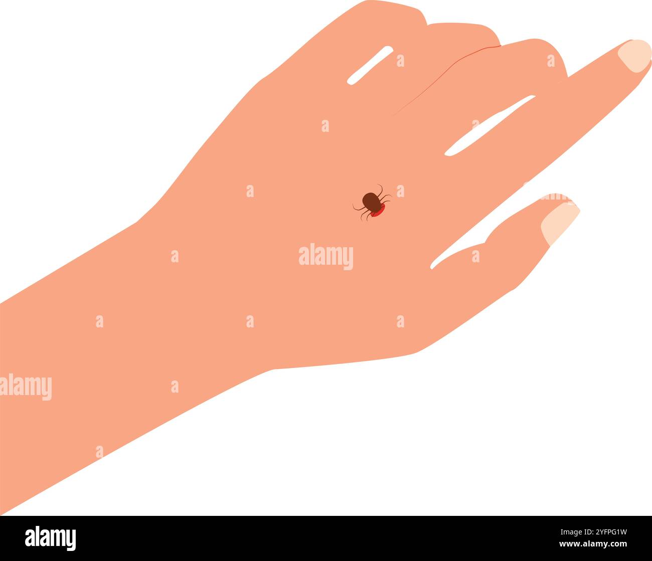 Bite not harmful to humans Stock Vector Images - Alamy