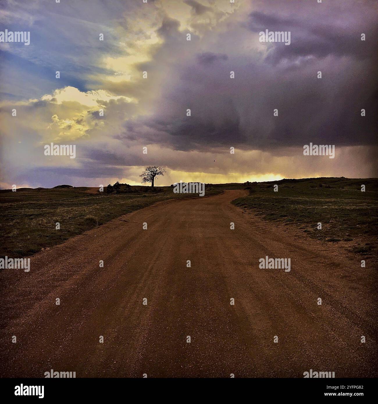 Photooftheday hi-res stock photography and images - Alamy