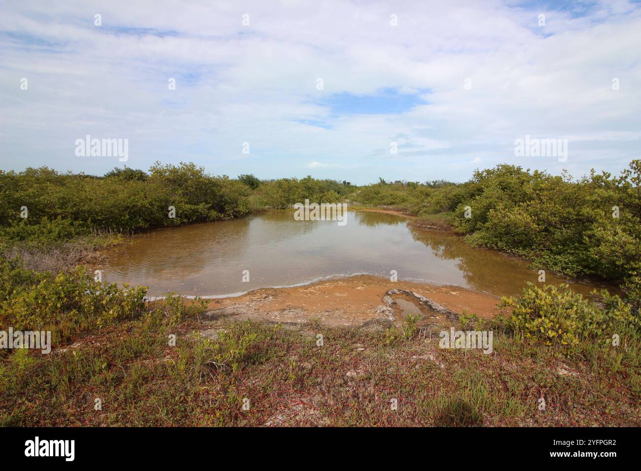 retention basin in flood protection, preventive measure against natural ...