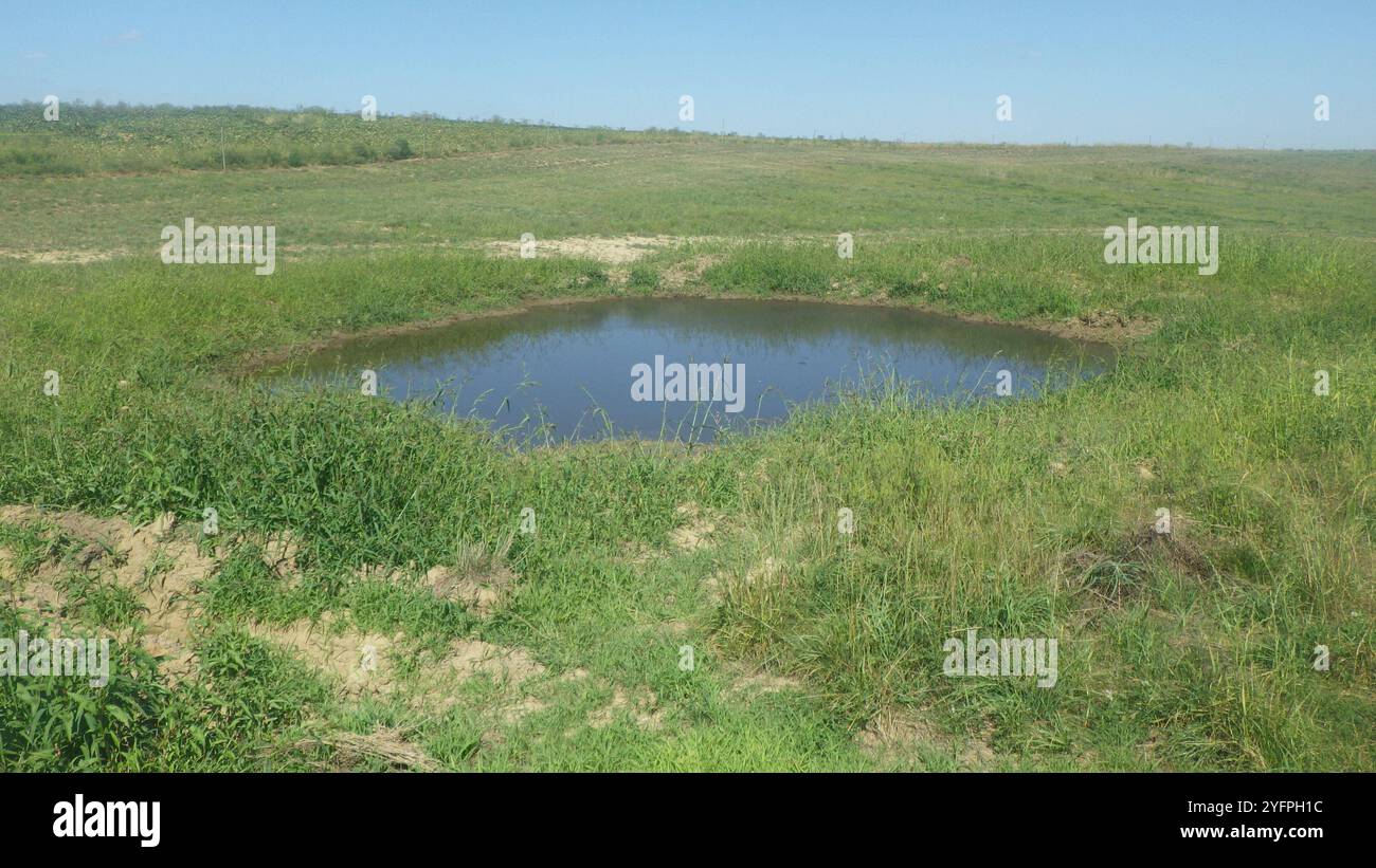 retention basin in flood protection, preventive measure against natural ...