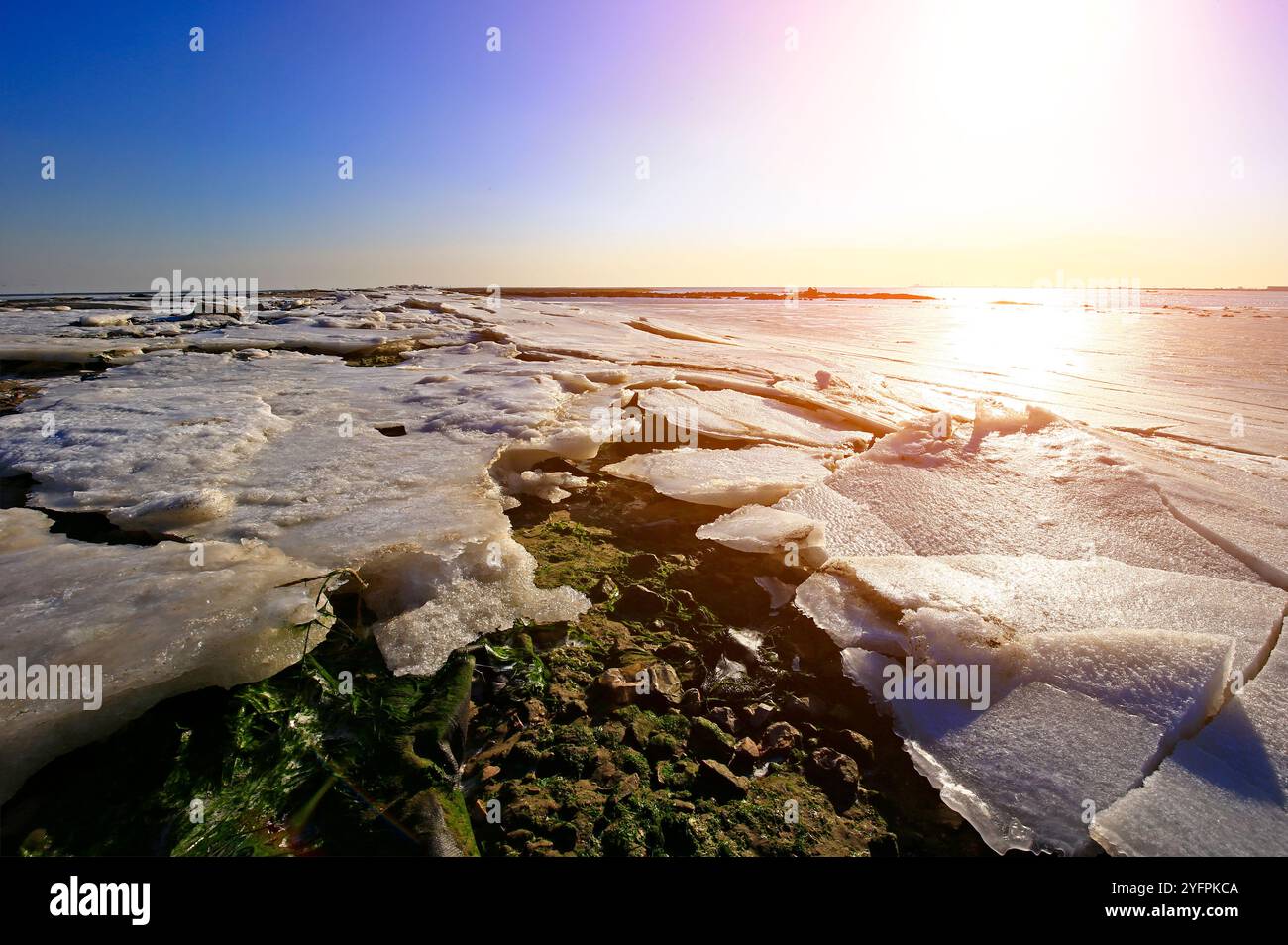 The winter sea ice Stock Photo - Alamy