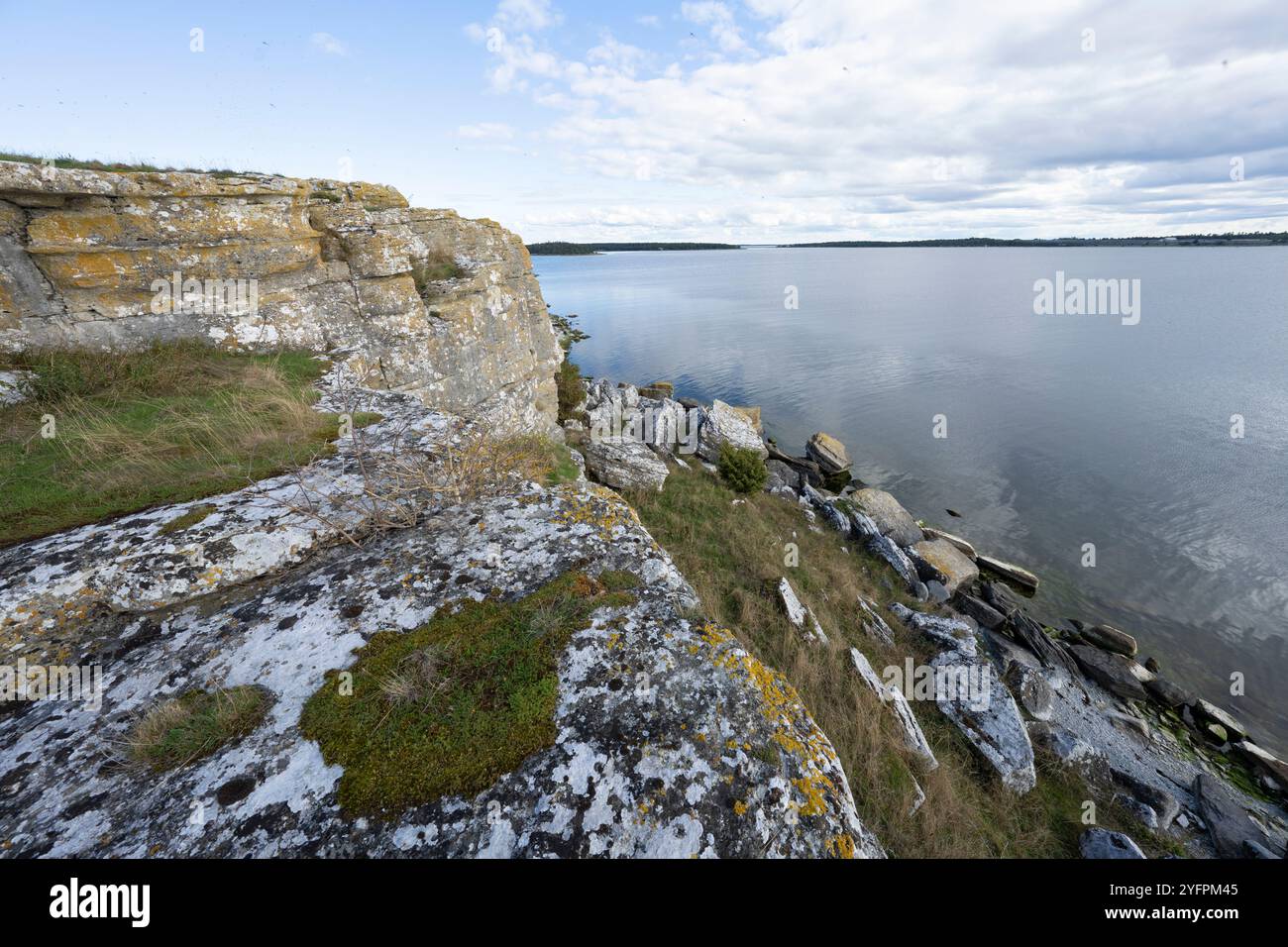 273424015 hi-res stock photography and images - Alamy