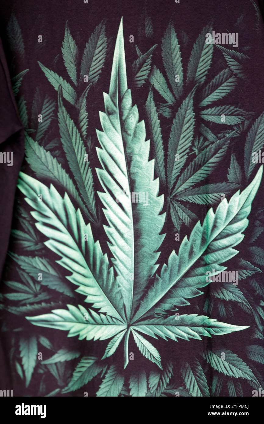 Marijuana weed leaf. Cannabis theme or legalize concept. Vienna. Austria Stock Photo - Alamy